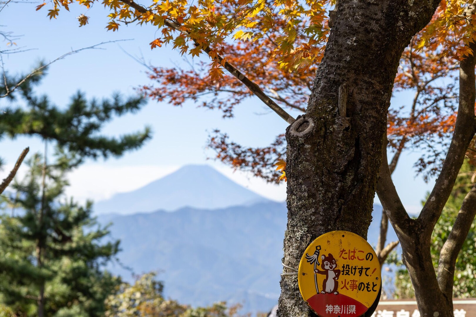高尾山口〜陣馬山☀ / yさんの高尾山・陣馬山・景信山の活動データ | YAMAP / ヤマップ