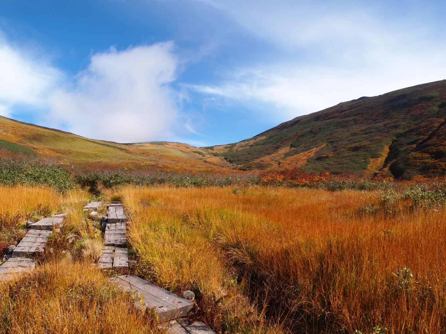 月山・柴灯森・姥ヶ岳 / aoi-stepさんの月山の活動データ | YAMAP / ヤマップ