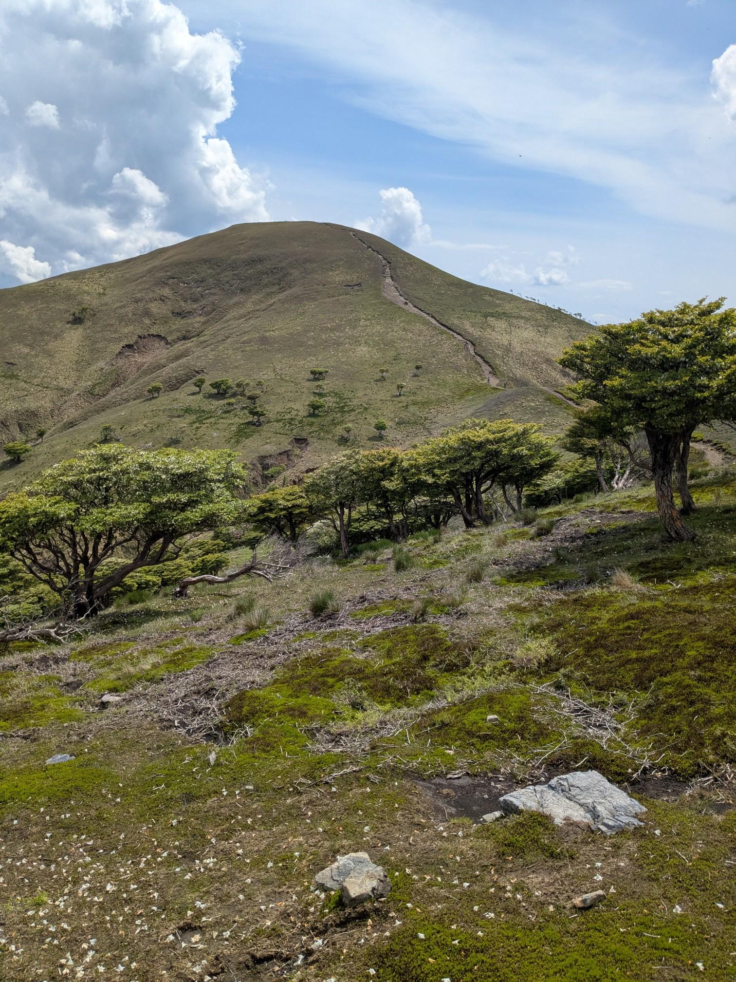 竜ヶ岳 / westさんの竜ヶ岳の活動日記 | YAMAP / ヤマップ