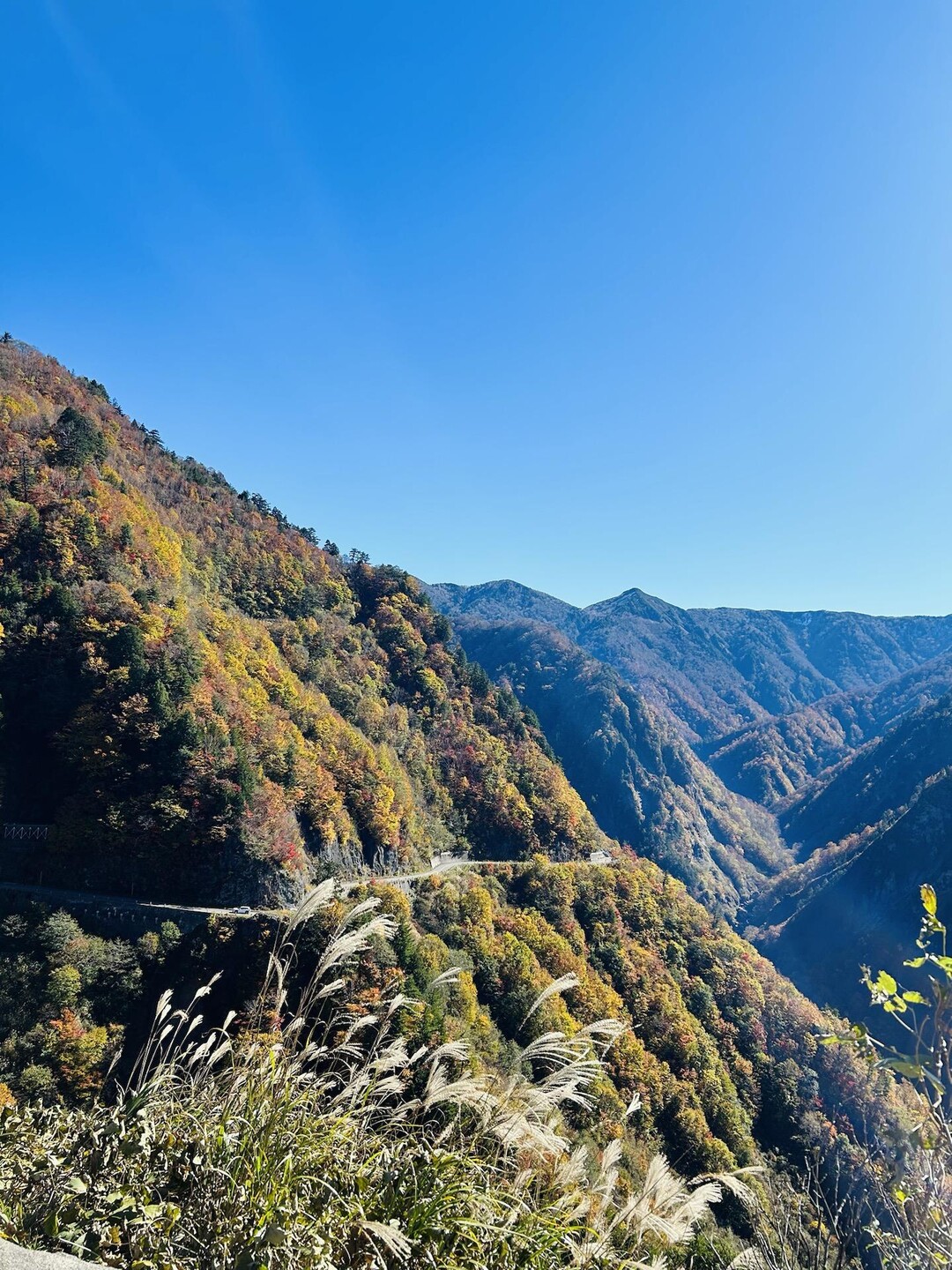 三方岩岳 / mamiさんの三方岩岳・妙法山の活動データ | YAMAP / ヤマップ