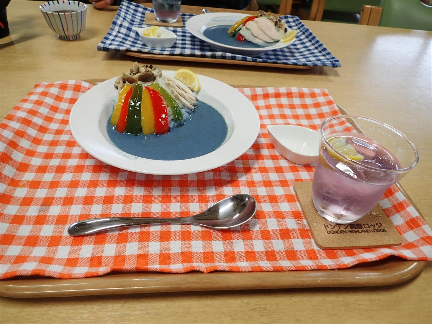 アオネバ登山口（標高296m）～ドンデン高原ロッジ（標高890m) / yuiさんの守門岳・大岳・網張山の活動データ | YAMAP / ヤマップ