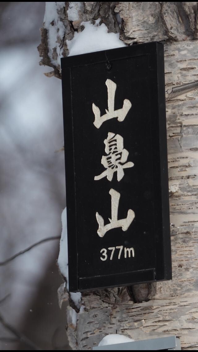 山鼻山 / yuzuさんの藻岩山の活動データ | YAMAP / ヤマップ