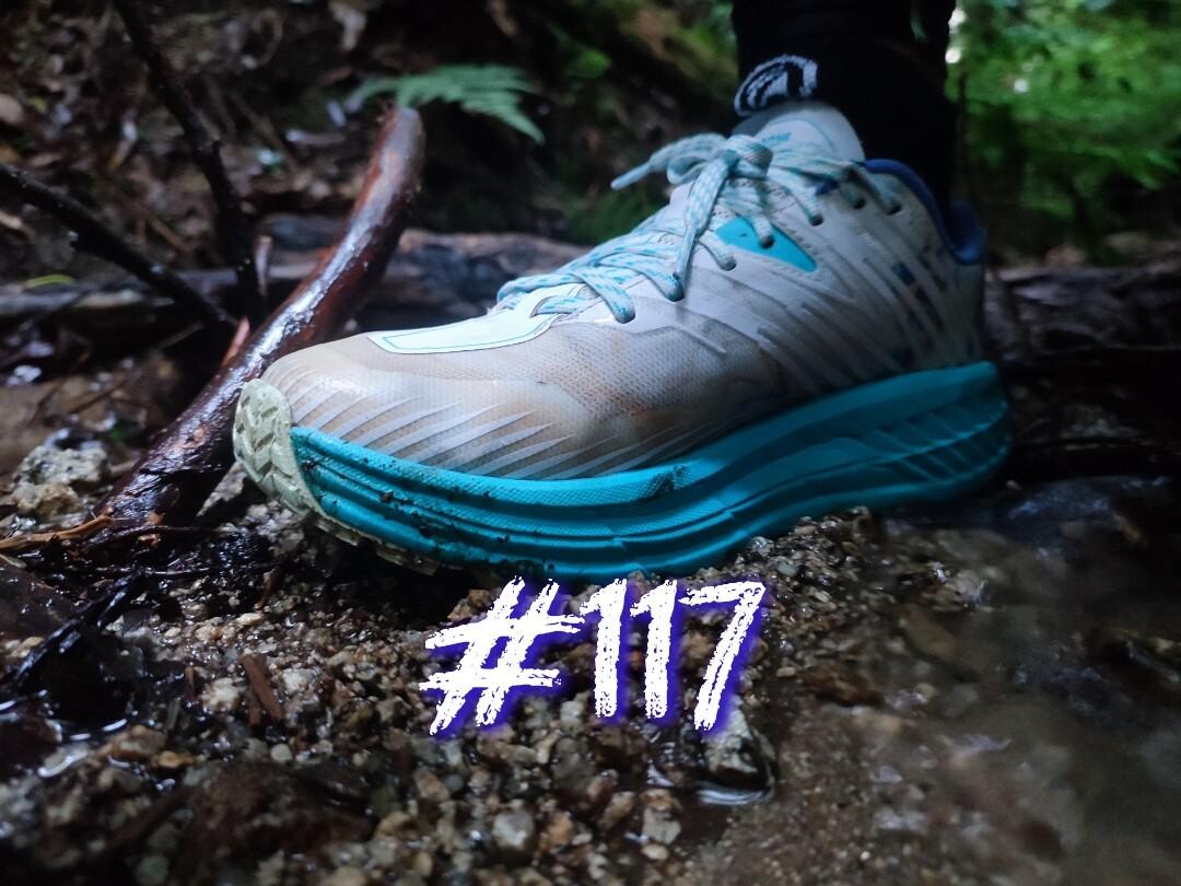 金剛山(117)タカハタ谷↗千早本道↘ / やまぼさんの金剛山・二上山・大和葛城山の活動日記 | YAMAP / ヤマップ