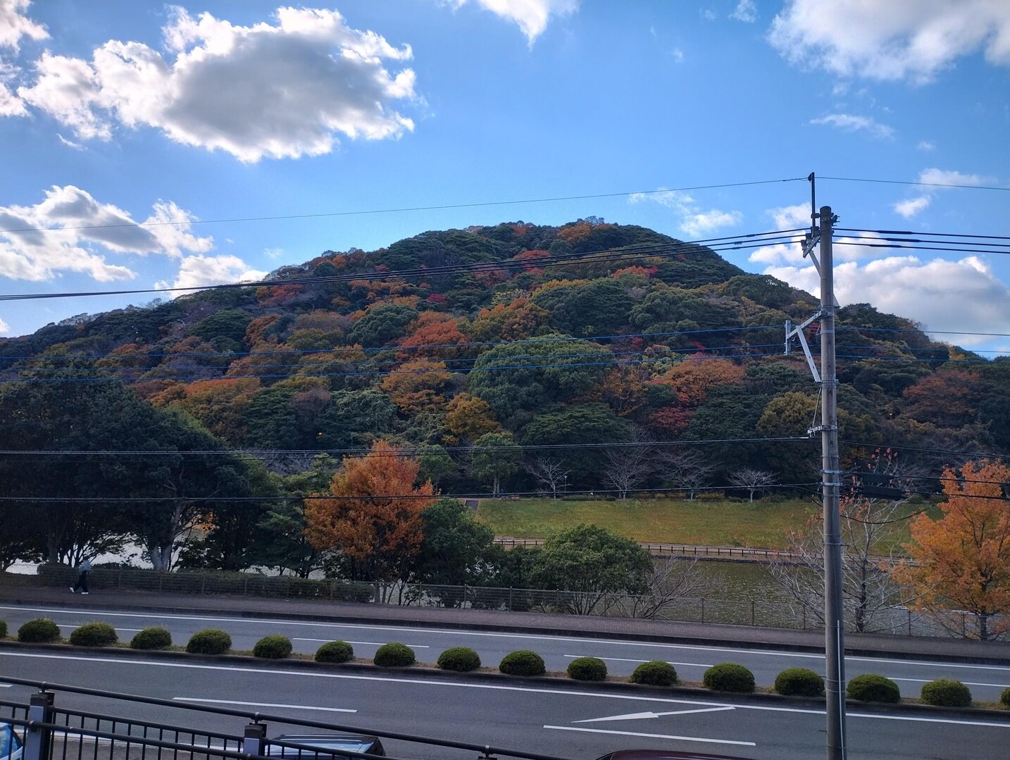 金毘羅山＆中央公園ウォーキング / Romiさんのウォーキングの活動データ | YAMAP / ヤマップ