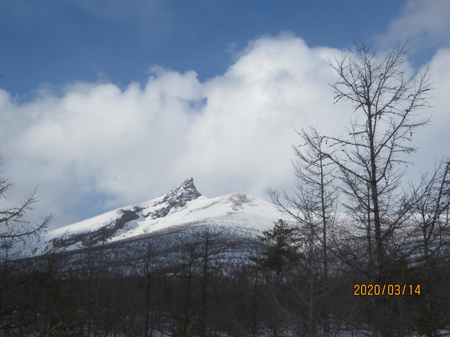 今期初マナの駒ヶ岳 / keiさんの北海道駒ヶ岳（蝦夷駒ヶ岳・渡島駒ヶ岳）の活動日記 | YAMAP / ヤマップ