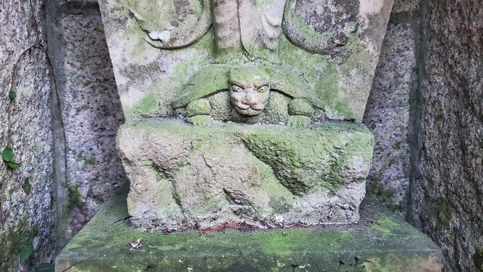 寄り道PHトレジョグ🔶先山 / hirobonさんの淡路島の活動データ | YAMAP / ヤマップ