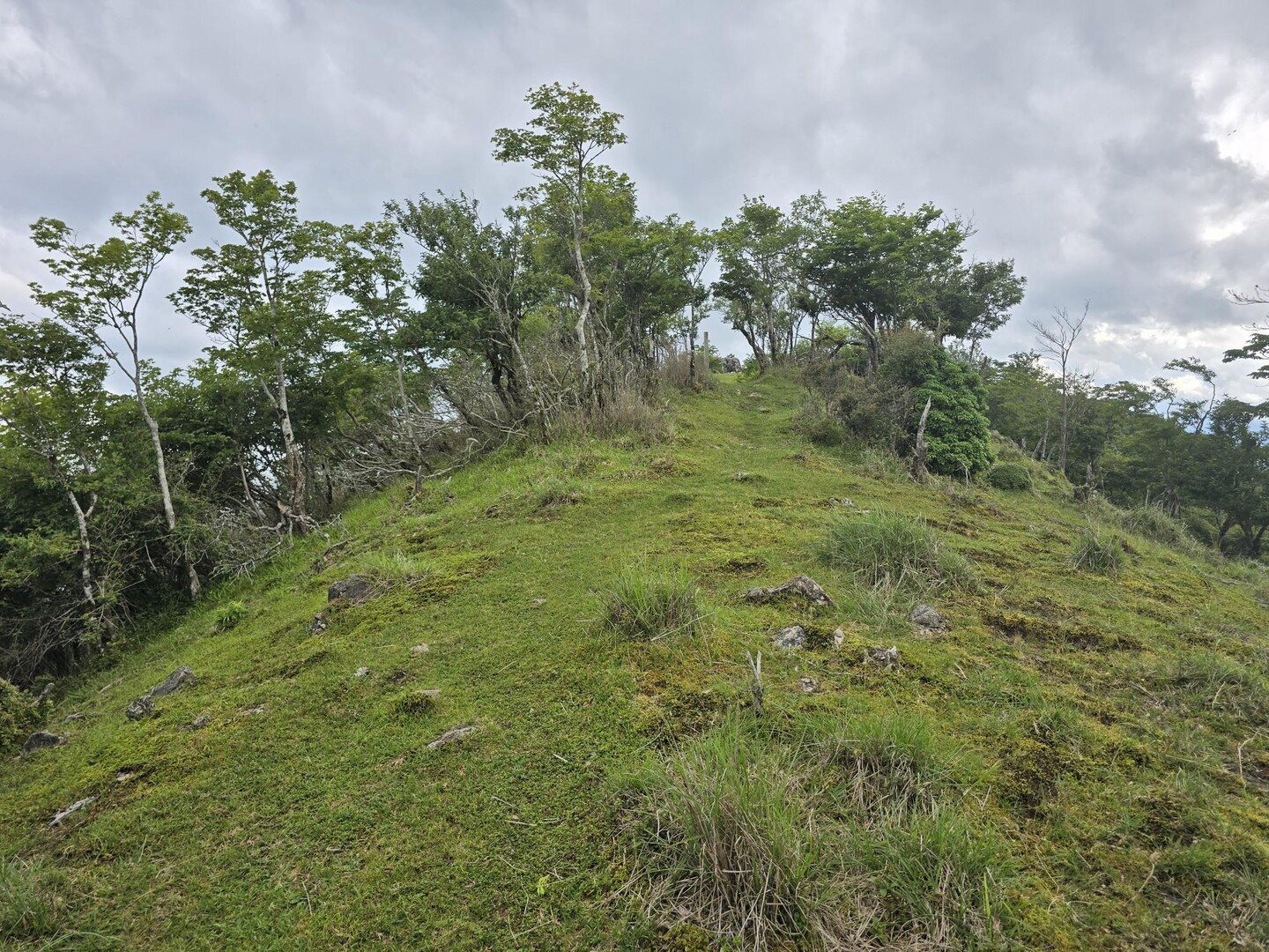 山犬獄～高丸山 ソロ縦走 / FGH-tomiさんの山犬嶽の活動データ | YAMAP / ヤマップ