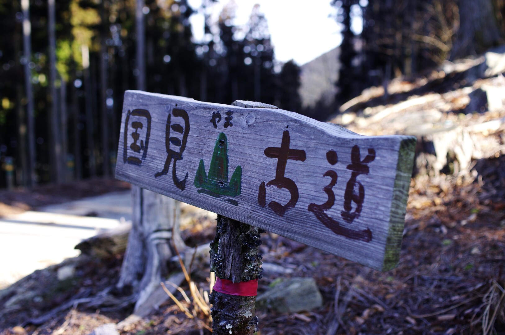no snow⛰️国見山 / motoさんの国見山の活動データ | YAMAP / ヤマップ
