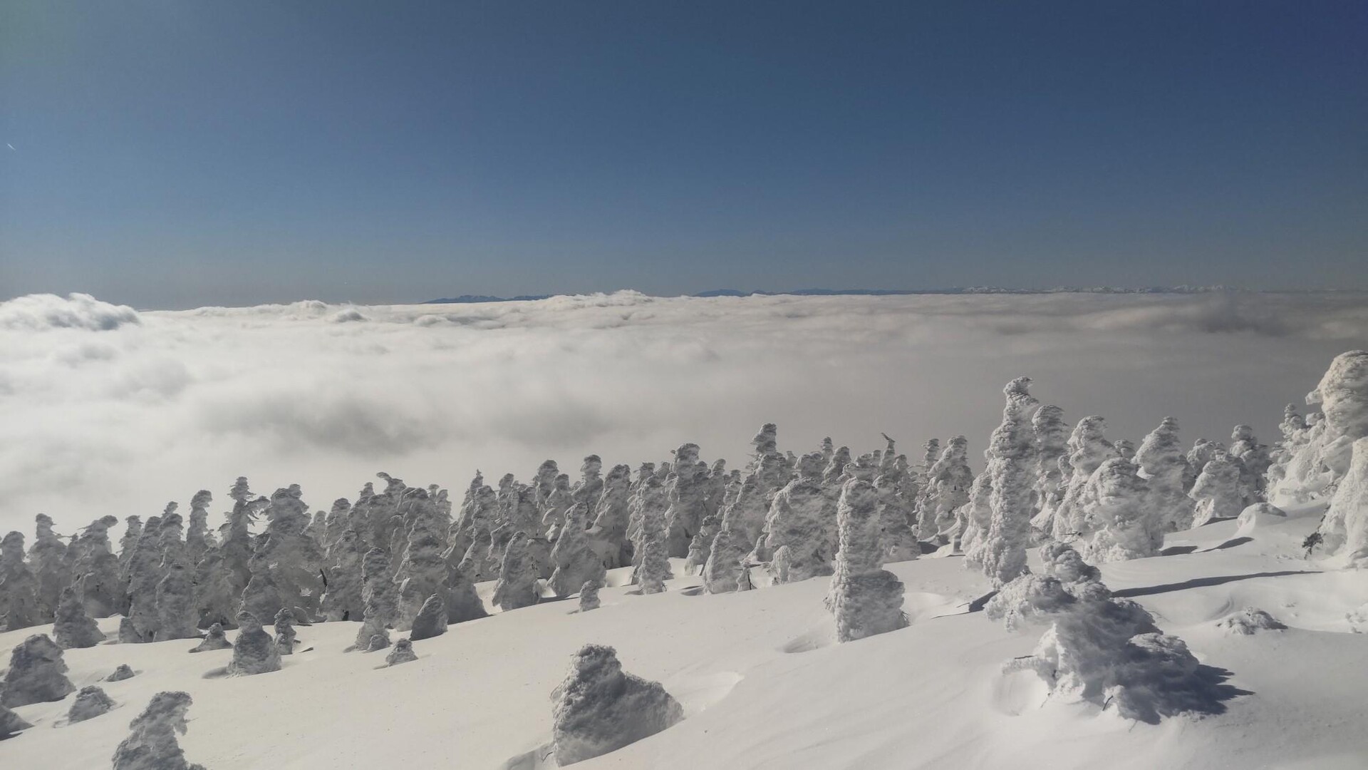 西大巓・西吾妻山BC🏂 / masaさんの吾妻山・一切経山の活動データ | YAMAP / ヤマップ