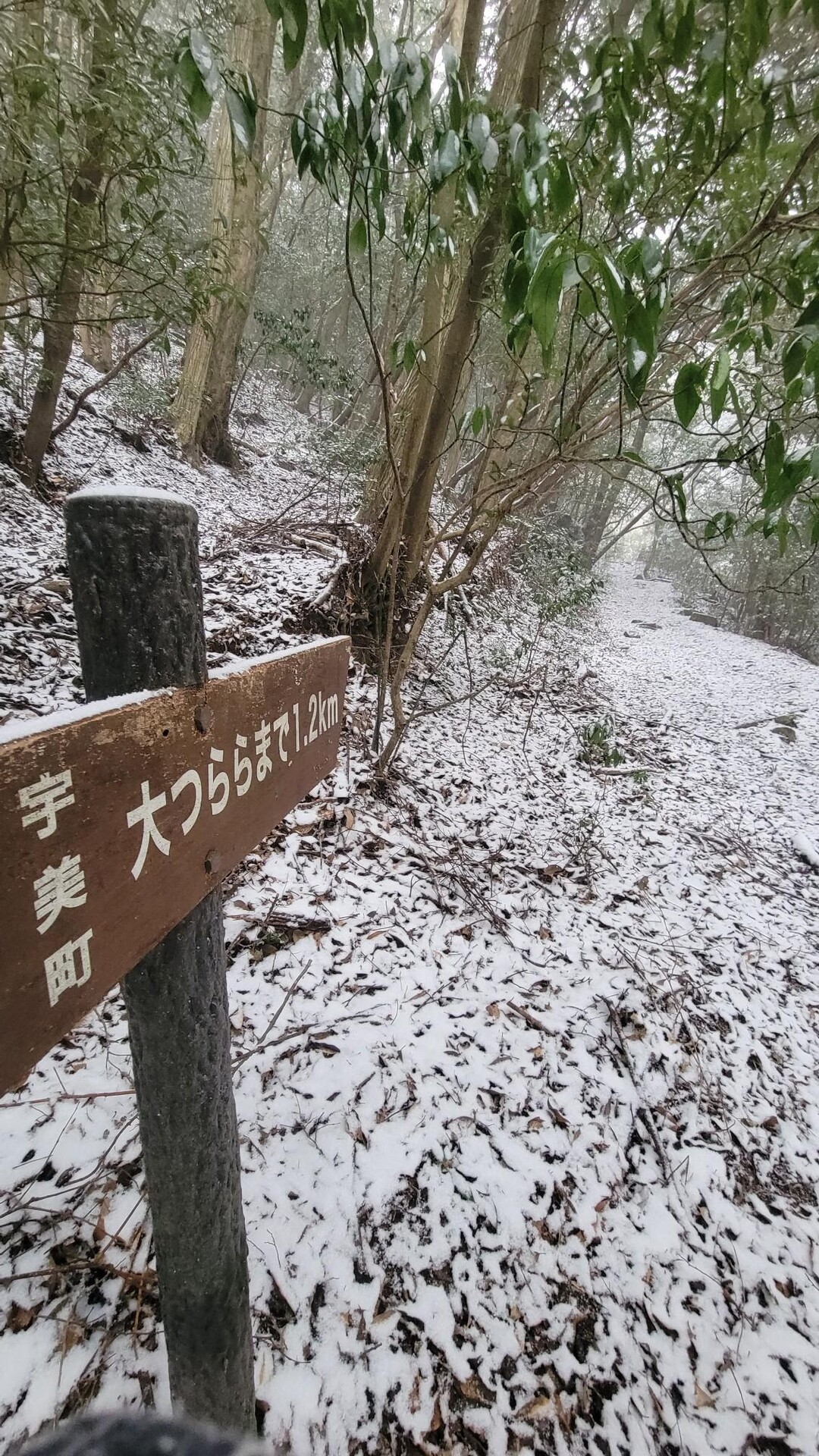 難所ヶ滝(大つららの下見) / ZINさんの宝満山・三郡山・若杉山の活動日記 | YAMAP / ヤマップ
