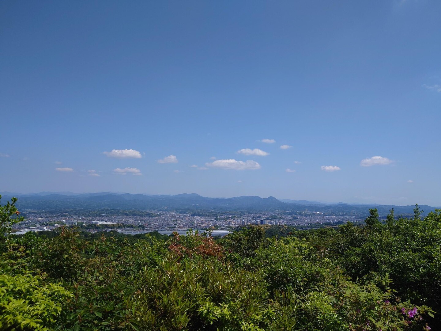久しぶりにテント泊装備で小笠山 / yagarinさんの小笠山の活動データ | YAMAP / ヤマップ