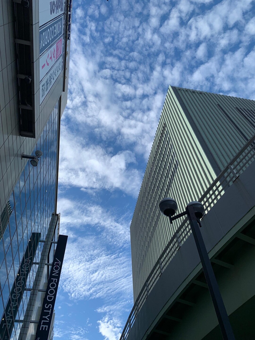 秋ですね / RNさんのモーメント | YAMAP / ヤマップ