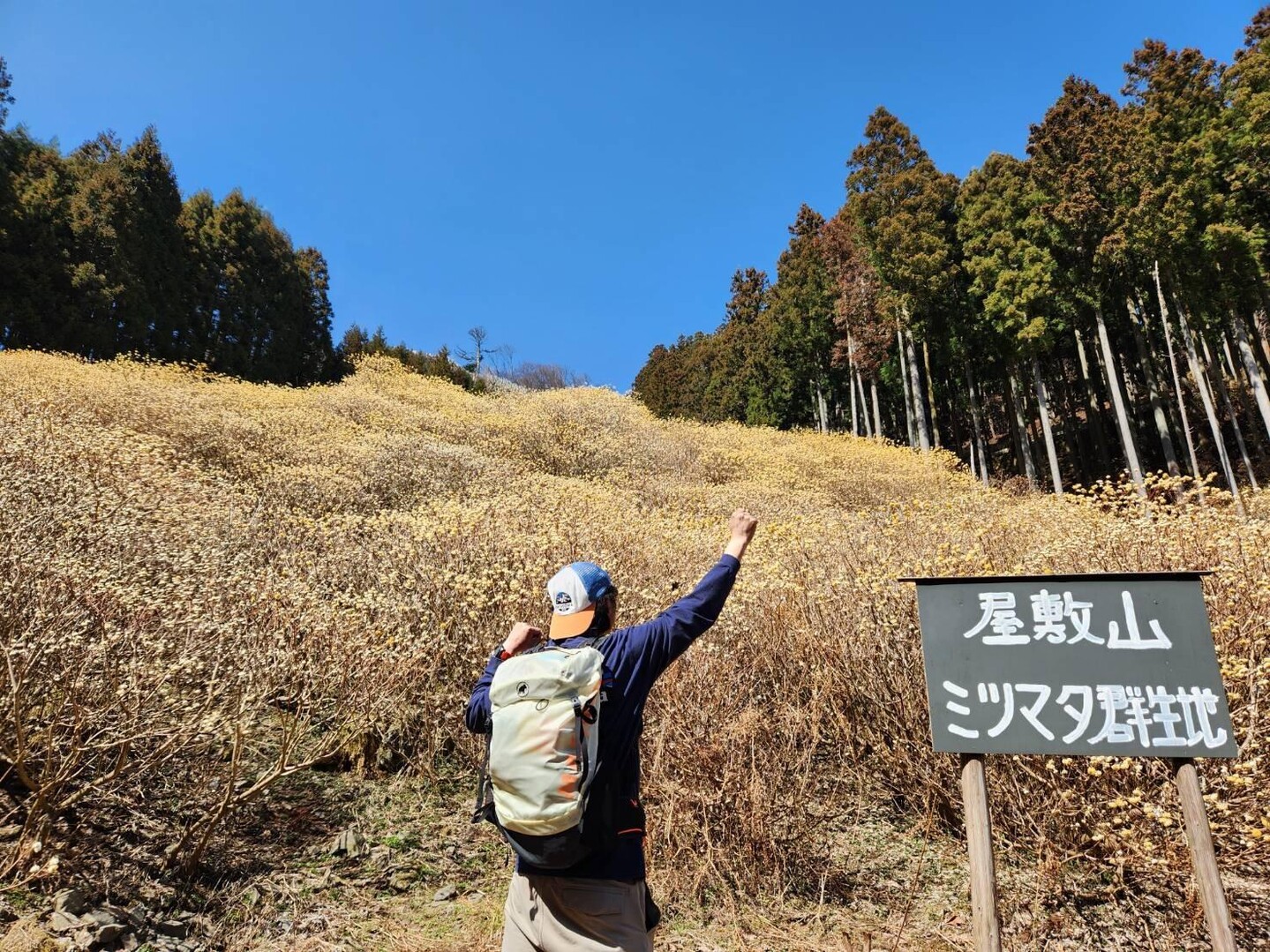 根本山 / コウジロさんの根本山・熊鷹山・氷室山の活動データ | YAMAP / ヤマップ