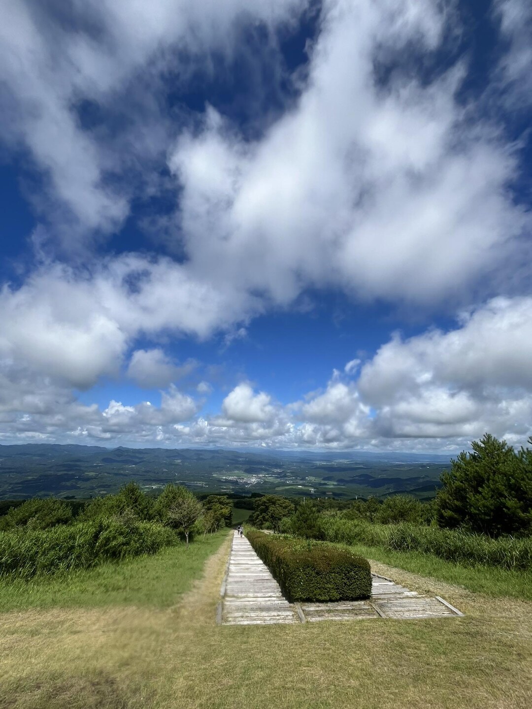第12回霧島・えびの高原エクストリームトレイル / MADさんのランニングの活動データ | YAMAP / ヤマップ