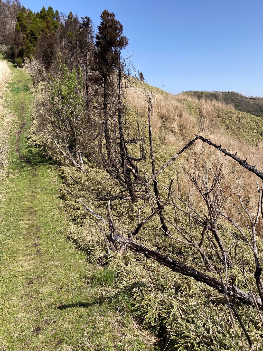 west 7さんの投稿したフィールドメモ | YAMAP / ヤマップ