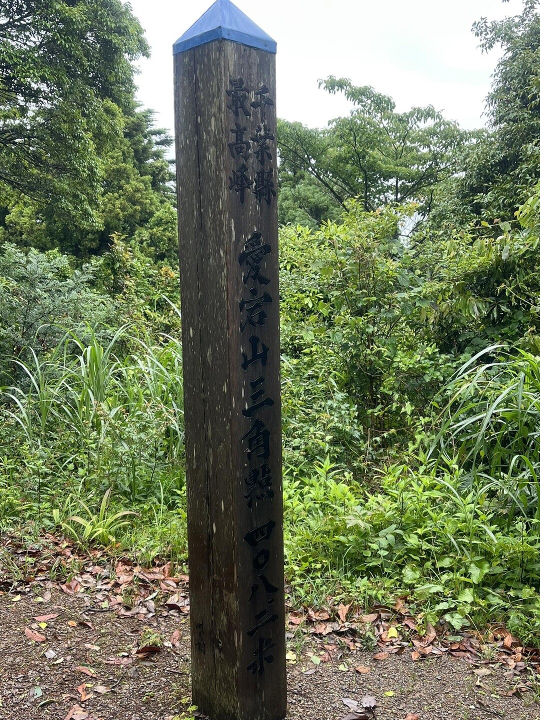 愛宕山・二ツ山（南峰）・二ツ山（北峰）・頑固山 / Richさんの愛宕山・二ツ山・大山千枚田の活動データ | YAMAP / ヤマップ