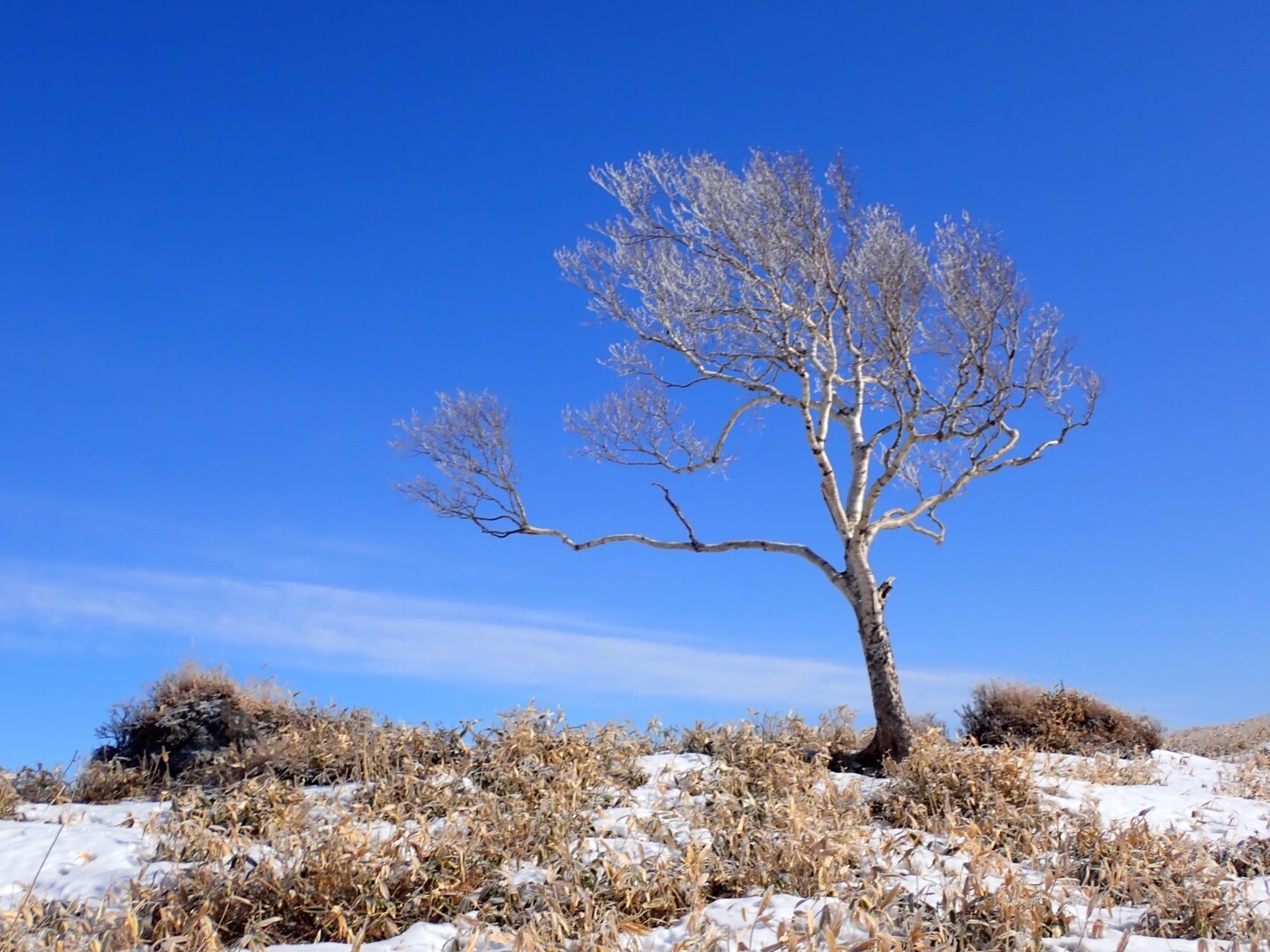 オプタテシケヌプリ / moneさんの釧路川その1（屈斜路湖〜摩周駅）の活動データ | YAMAP / ヤマップ