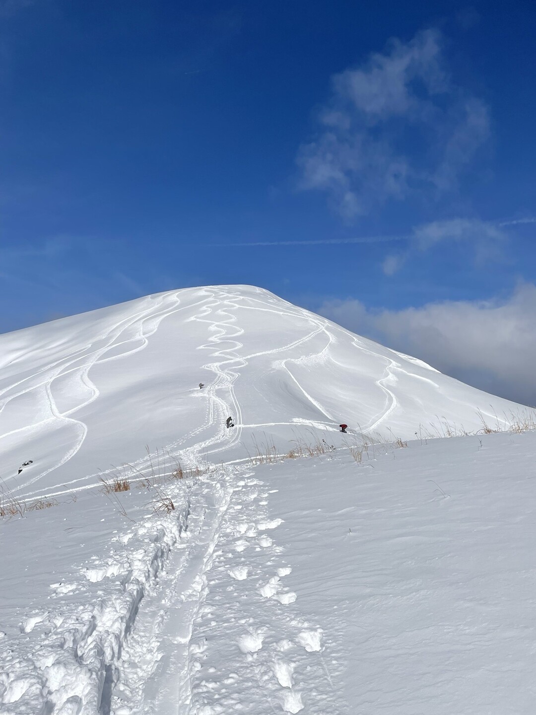 深入山BC-2022-02-18 / kenjiさんの深入山の活動データ | YAMAP / ヤマップ