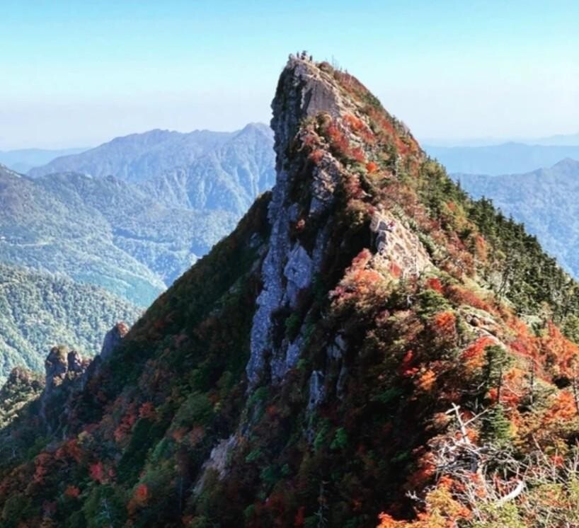 今週末、石鎚山の麓は西条祭りです‼️ 国... / lala(時差投稿ごめんなさい🙏)さんのモーメント | YAMAP / ヤマップ