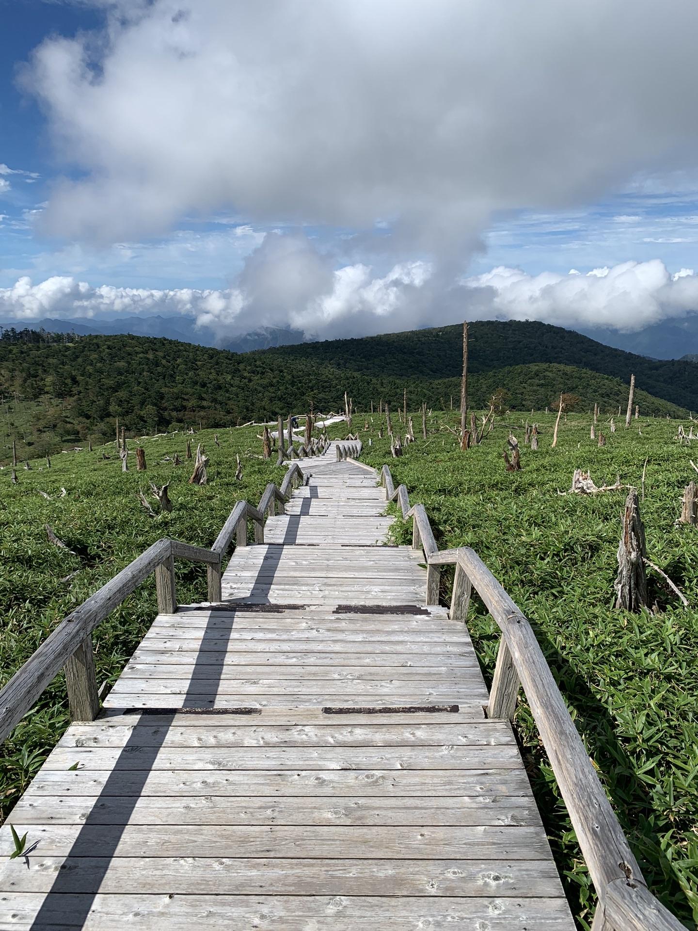 大台ヶ原山（日出ヶ岳） / はるさんの大台ヶ原山・日出ヶ岳・大杉谷の活動日記 | YAMAP / ヤマップ