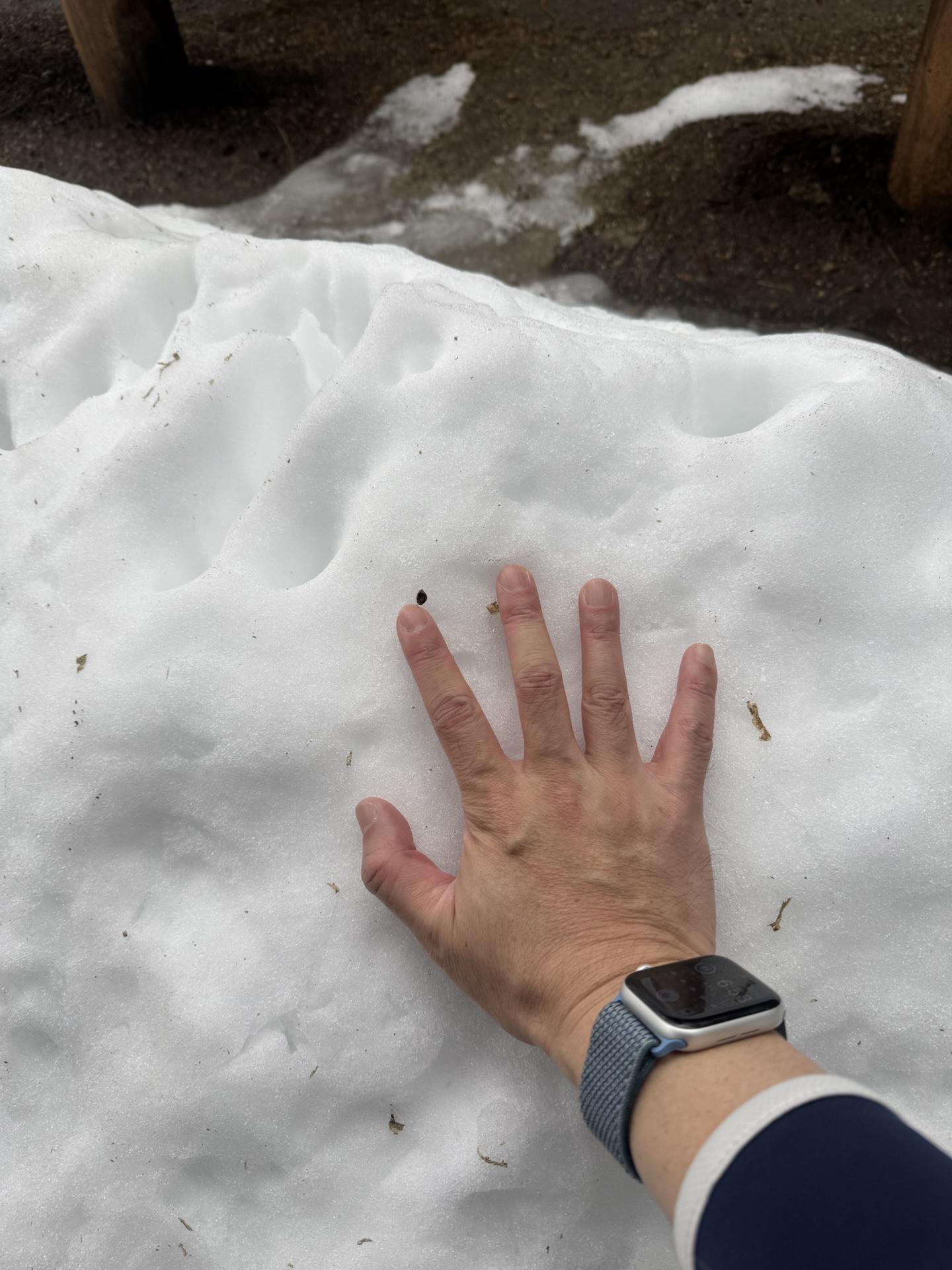 トレーニングハイキング #005 高尾山6,4,2号路周回 / nobi-wanさんの高尾山・陣馬山・景信山の活動データ | YAMAP / ヤマップ