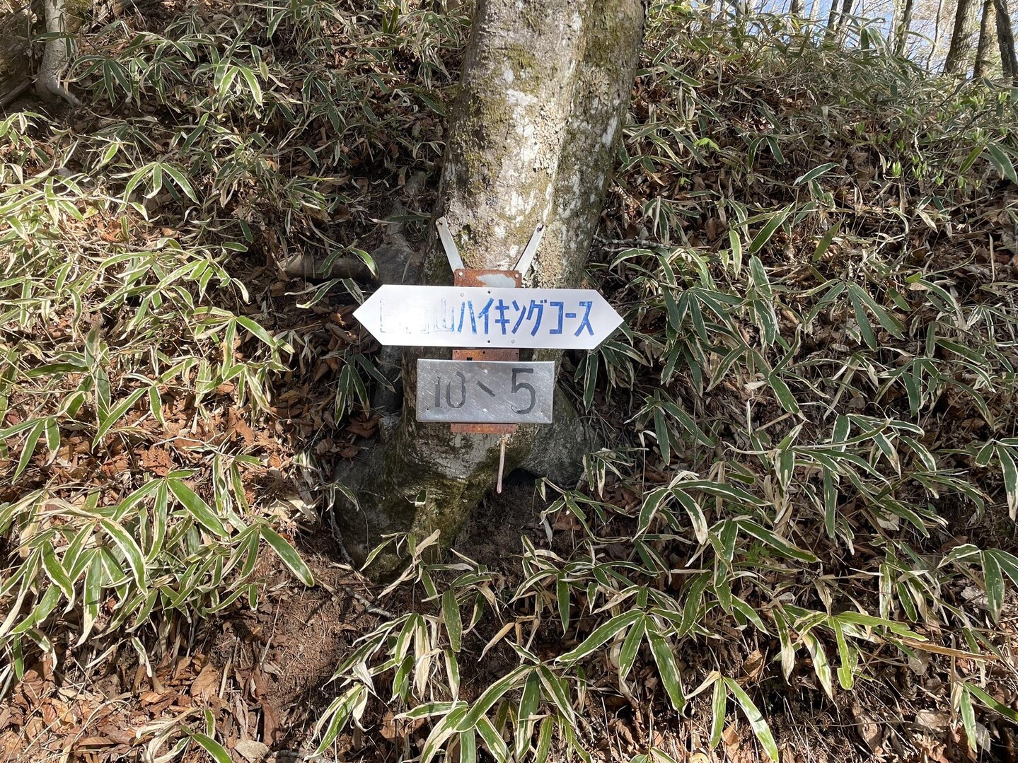 tsk-chaponさんの投稿したフィールドメモ | YAMAP / ヤマップ