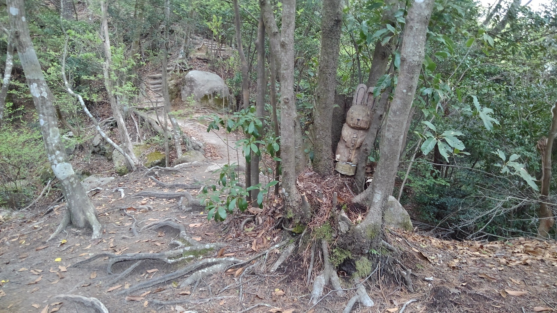 その十二 午後の猿トレ / nob3さんの猿投山・物見山の活動データ | YAMAP / ヤマップ