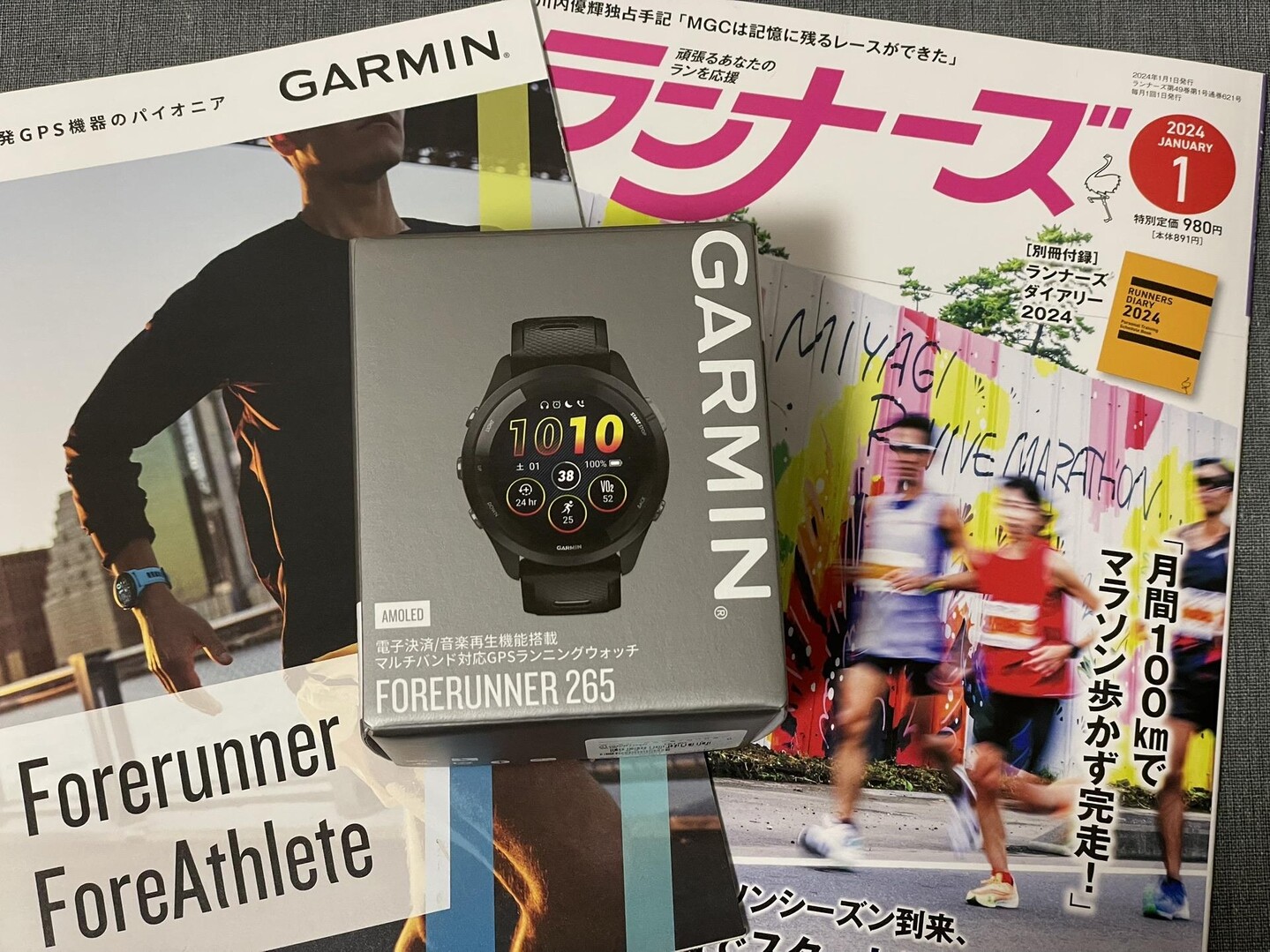 念願のGarmin導入。これはあくまでも... / お恭さんのモーメント | YAMAP / ヤマップ
