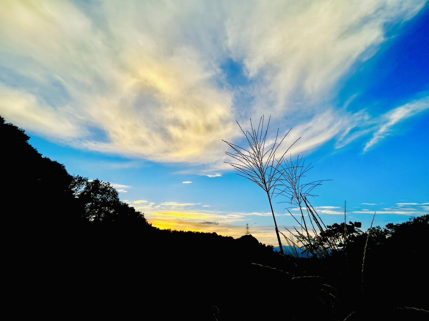 2023.09.25(月) 05:22 / Joan Chandler さんのモーメント | YAMAP / ヤマップ