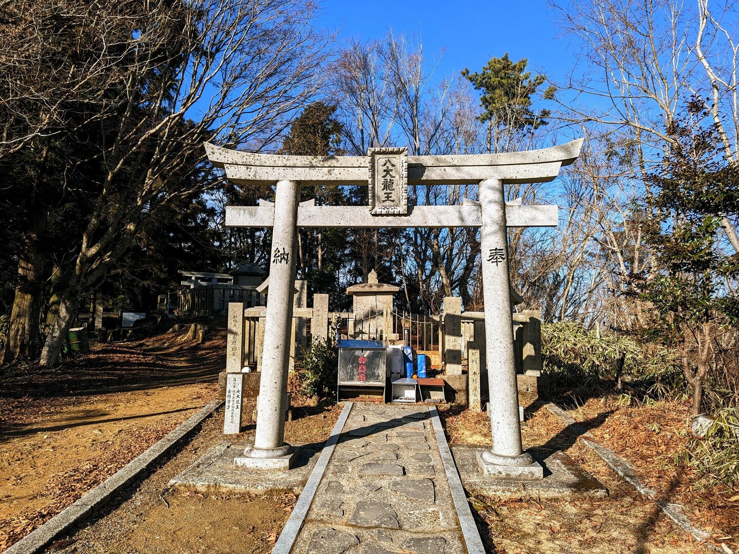 😃和泉葛城山💦関西百名山#57 / "satoh"さんの槇尾山（槙尾山）・和泉葛城山・神於山の活動データ | YAMAP / ヤマップ