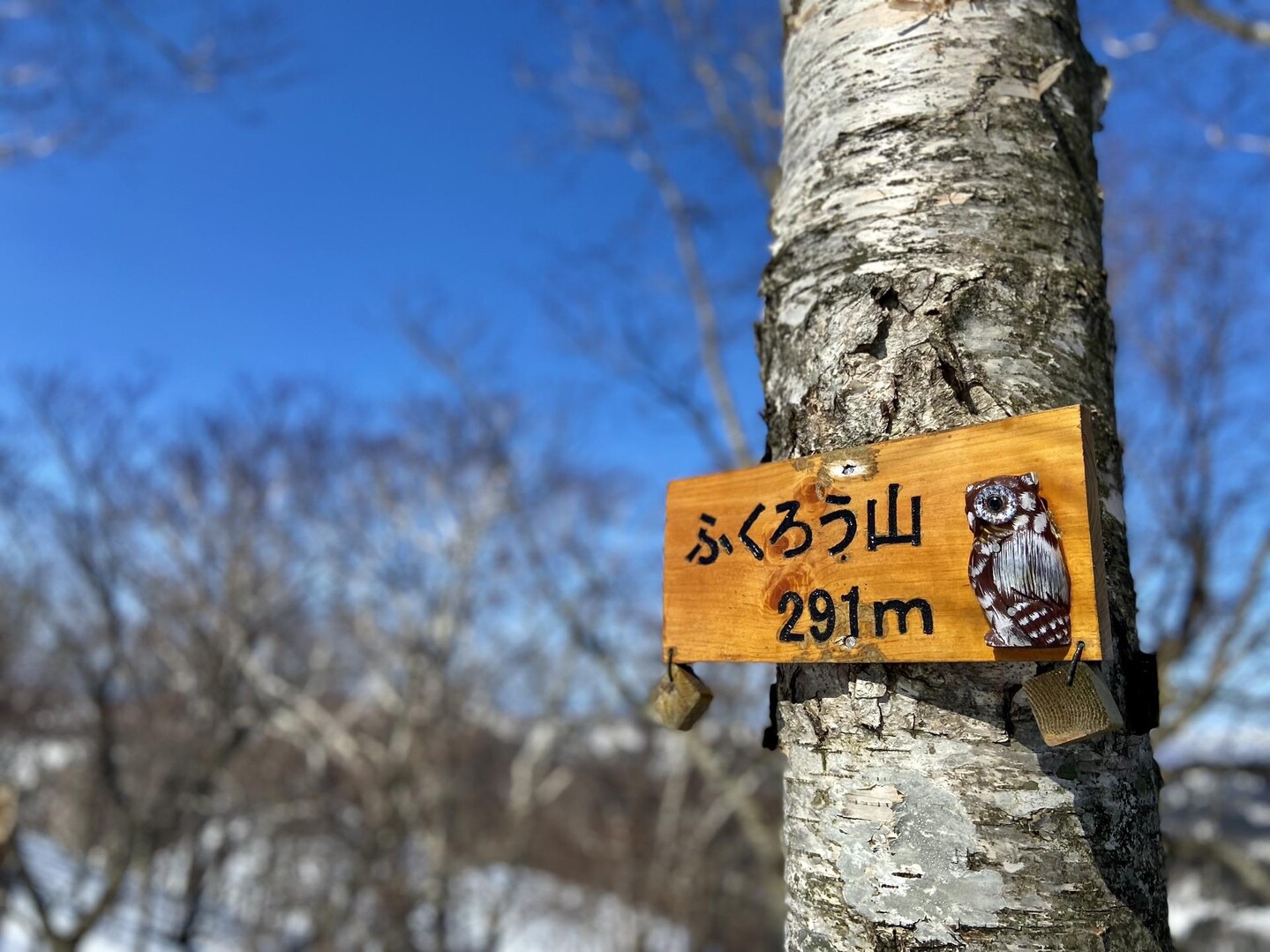 🦉ふくろう山へ🦉 / ︎ YU-tan ︎さんの神居尻山・ピンネシリの活動データ | YAMAP / ヤマップ