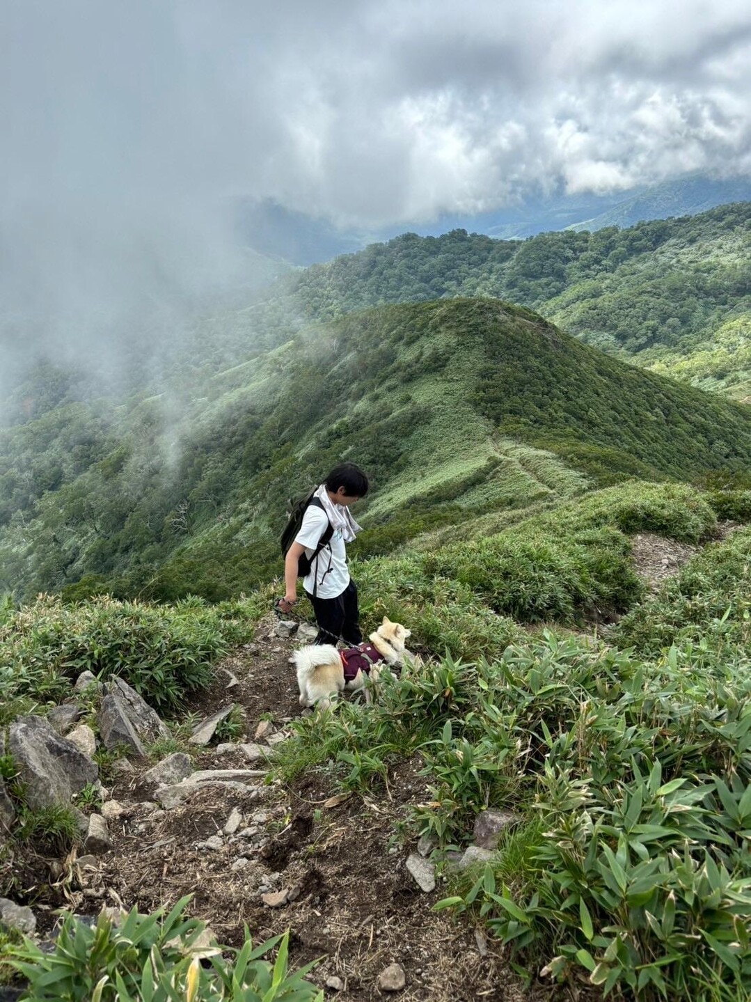 オロフレ山 / midoriさんのオロフレ山・来馬岳の活動データ | YAMAP / ヤマップ