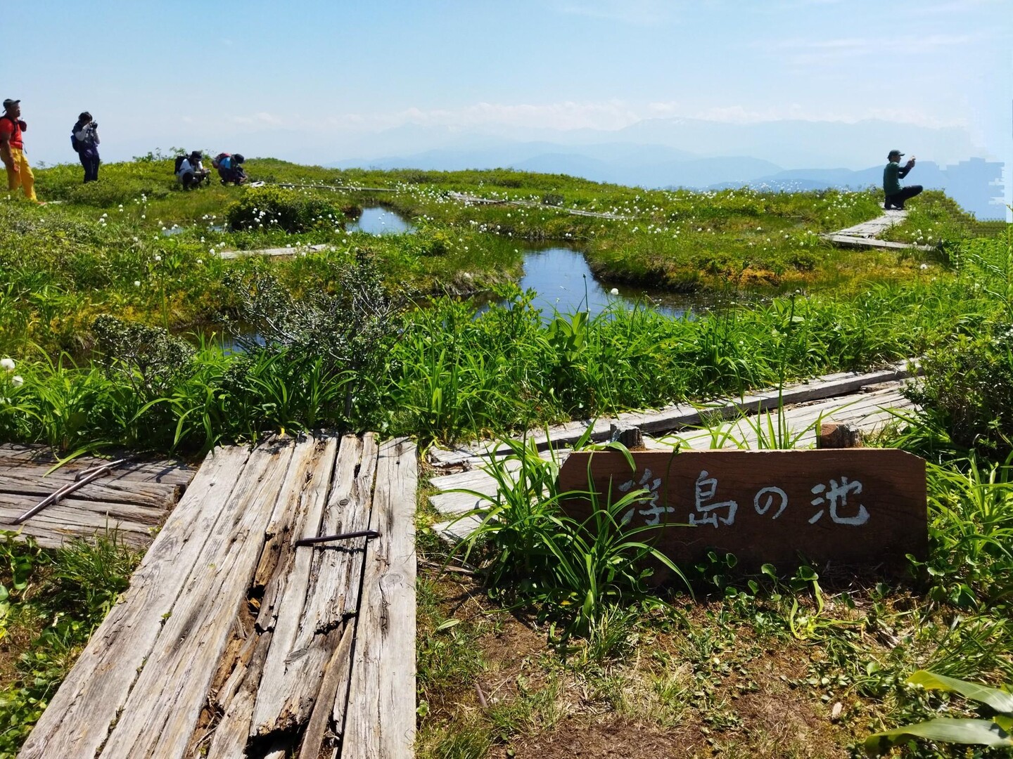 白木峰 / やまPさんの白木峰・小白木峰の活動データ | YAMAP / ヤマップ