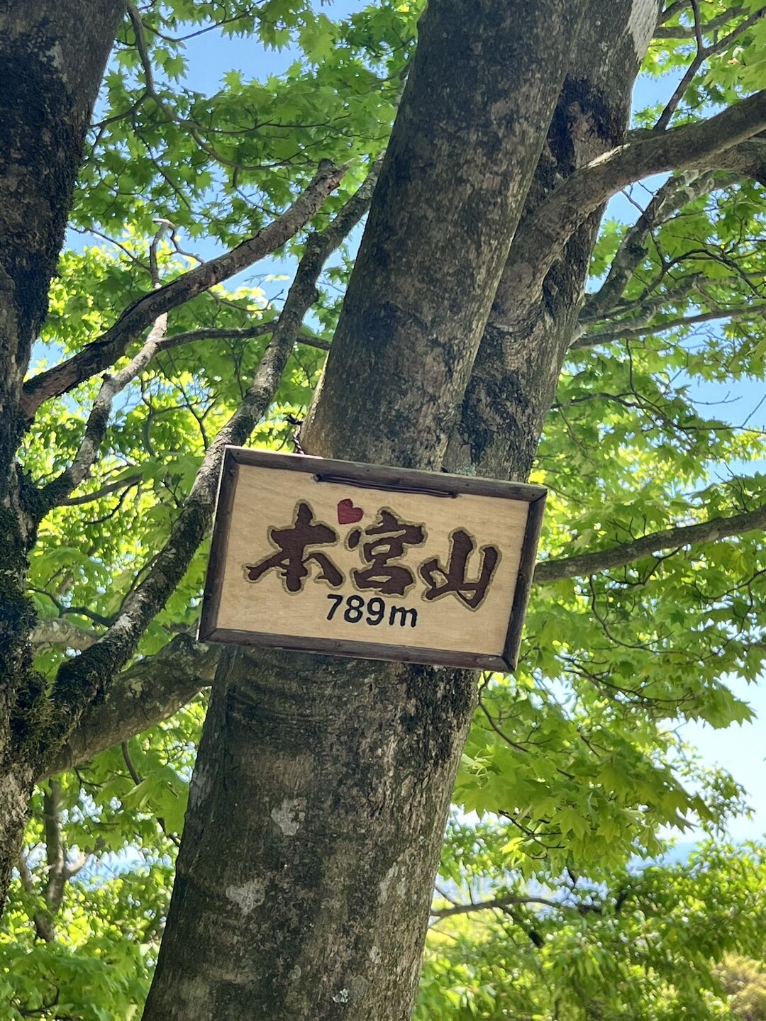 本宮山 / Monica さんの本宮山・大日山・風頭山の活動データ | YAMAP / ヤマップ