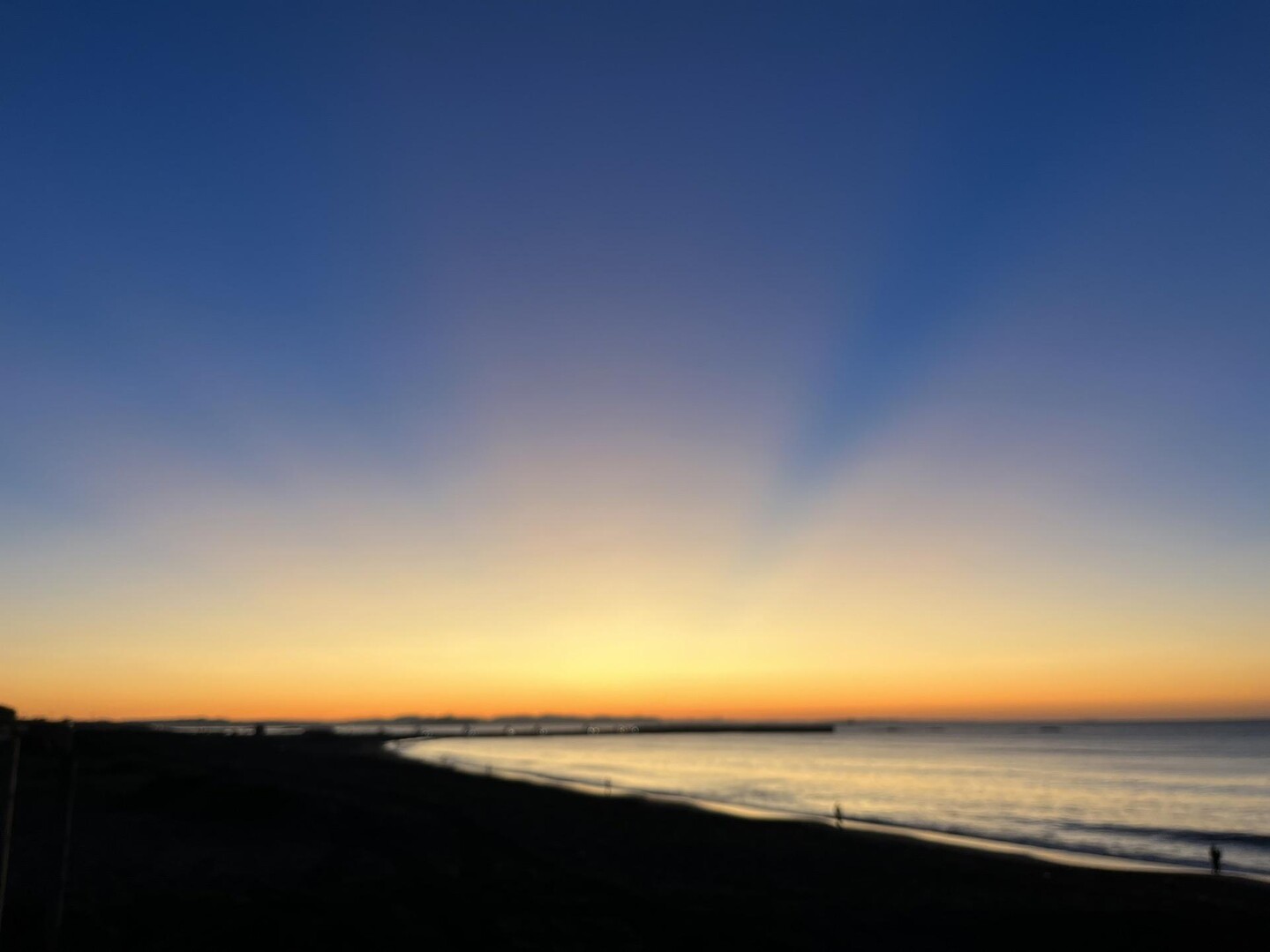 2022.11.26(土) 23:46 / さんさんのモーメント | YAMAP / ヤマップ