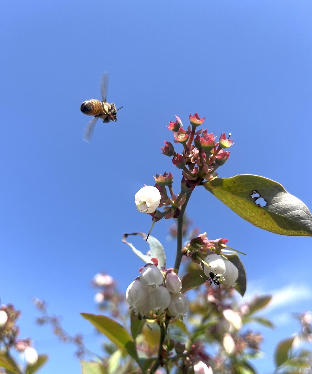 2024-04-18-1025☁️108/365 / たま さんのウォーキングの活動データ | YAMAP / ヤマップ