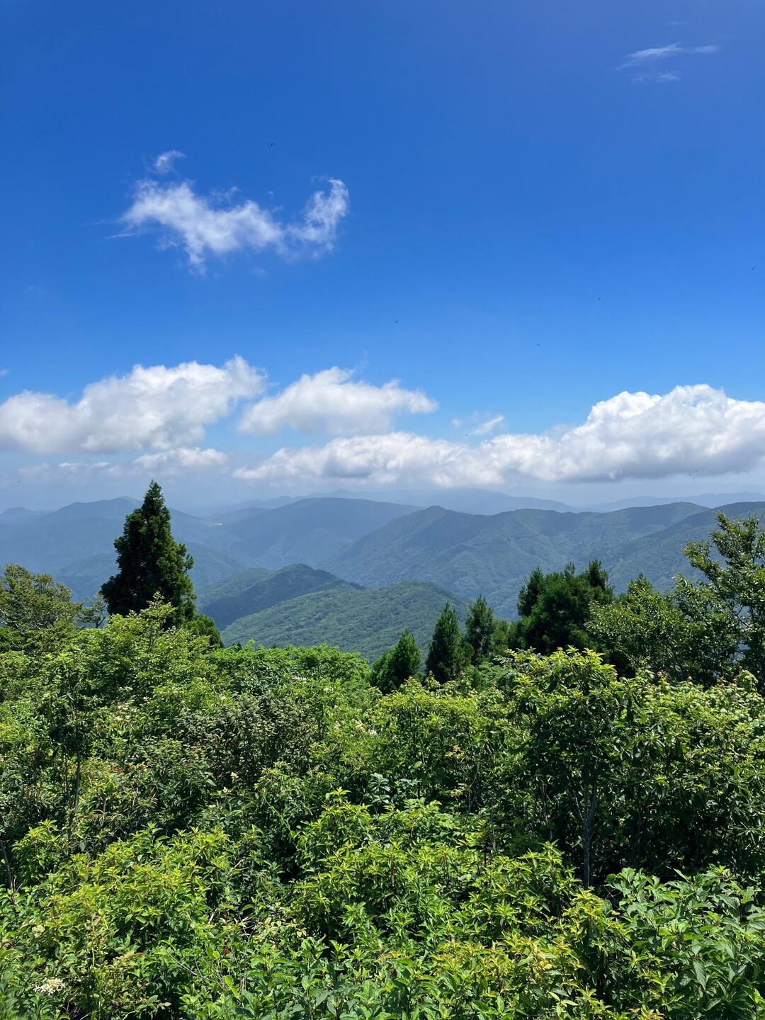 恐羅漢山・旧羅漢山 / たけうちたかしさんの恐羅漢山の活動データ | YAMAP / ヤマップ