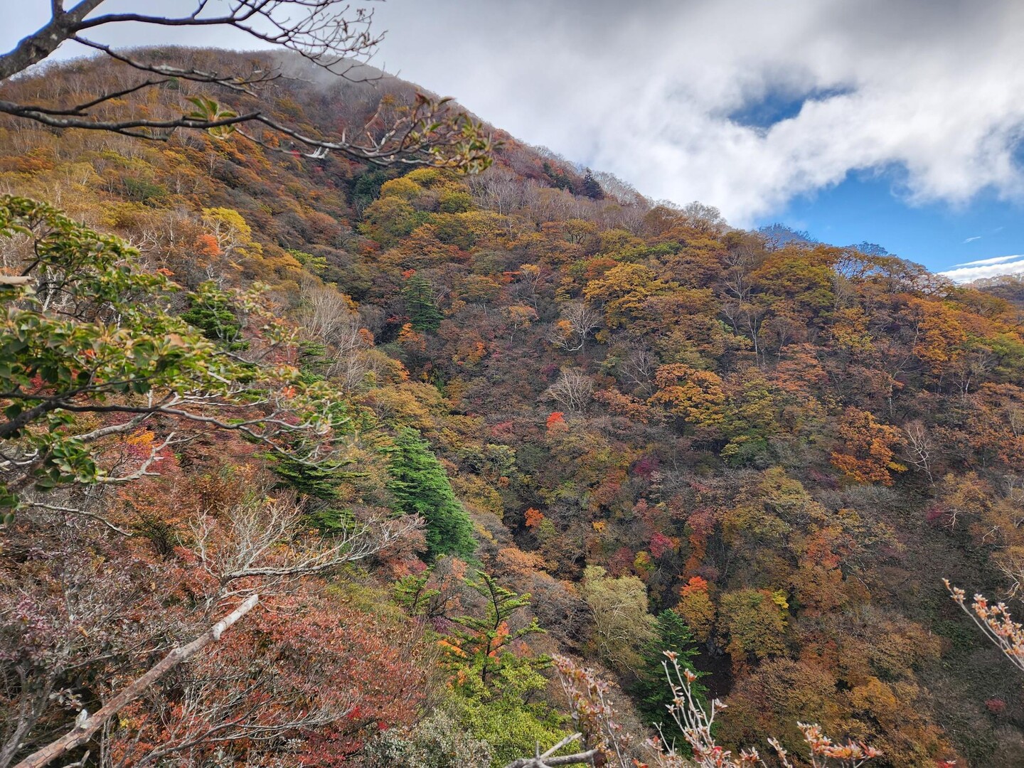 赤城山《Mt.GUNMA 2024「秋」・百名山・ 花百》 / pankoさんの赤城山・黒檜山・荒山の活動日記 | YAMAP / ヤマップ