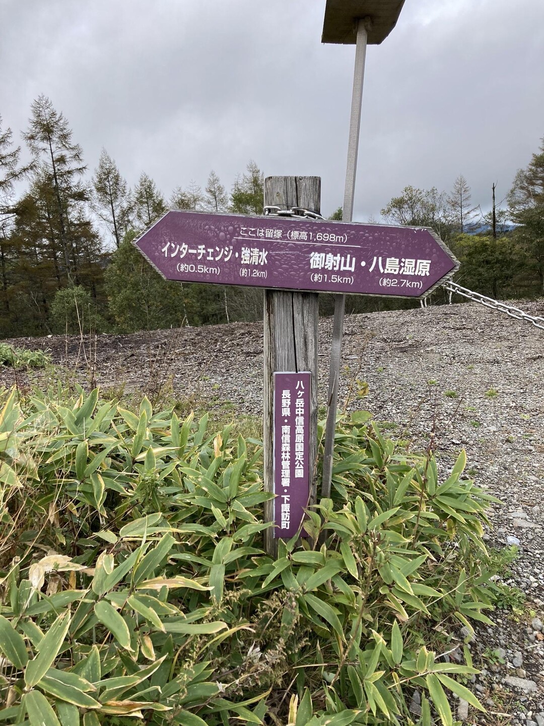 2022.10.08(土) いつもは諏訪... / haiziさんのモーメント | YAMAP / ヤマップ