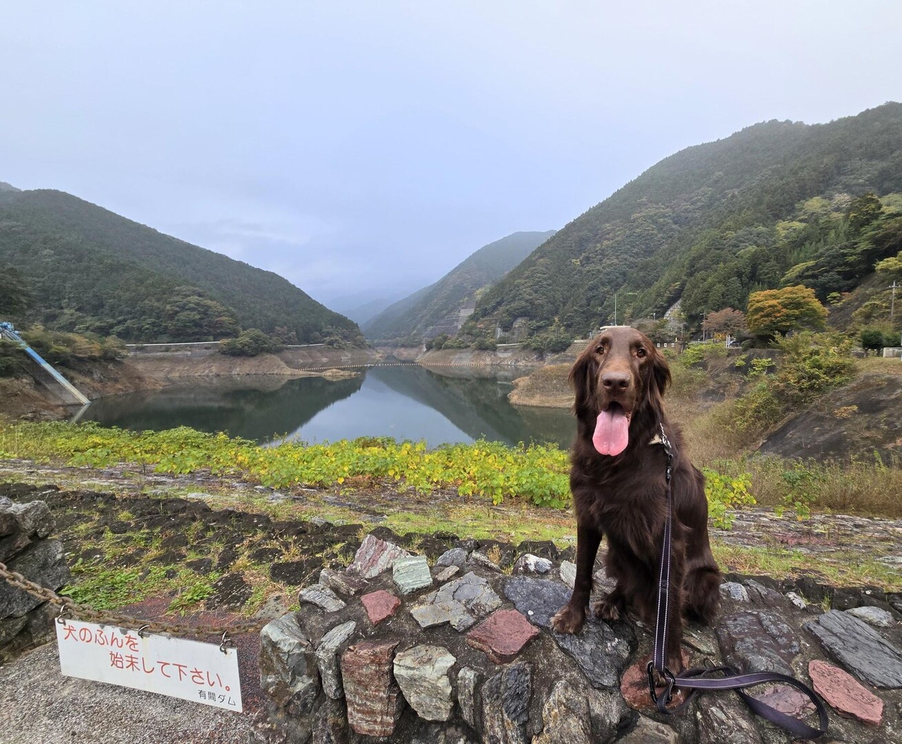 カブ散歩【有間ダム】 / MCボビヲさんの棒ノ折山（棒ノ嶺）の活動データ | YAMAP / ヤマップ