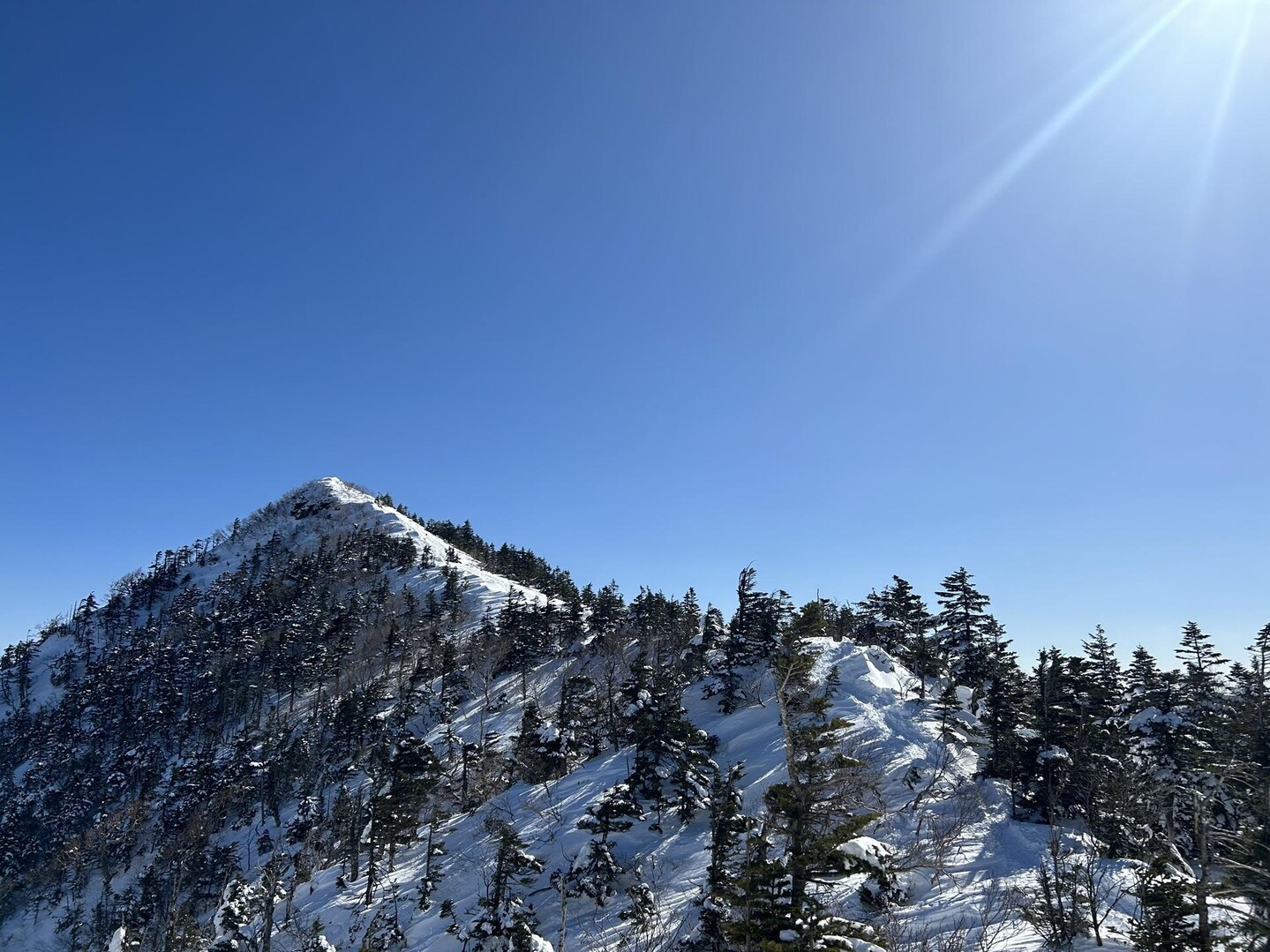 四阿山 / Yumaさんの四阿山・根子岳の活動データ | YAMAP / ヤマップ