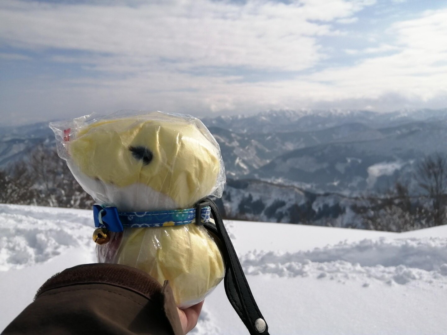 静かに登る高落場山 / yamanobu さんの高清水山・高落場山・八乙女山の活動データ | YAMAP / ヤマップ