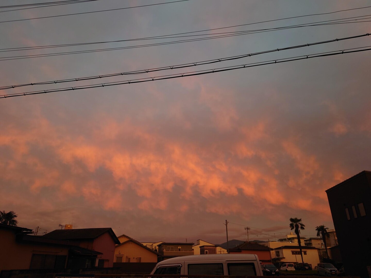 今日はこんな綺麗な夕焼けやのに先週に続い... / dewarsさんのモーメント | YAMAP / ヤマップ