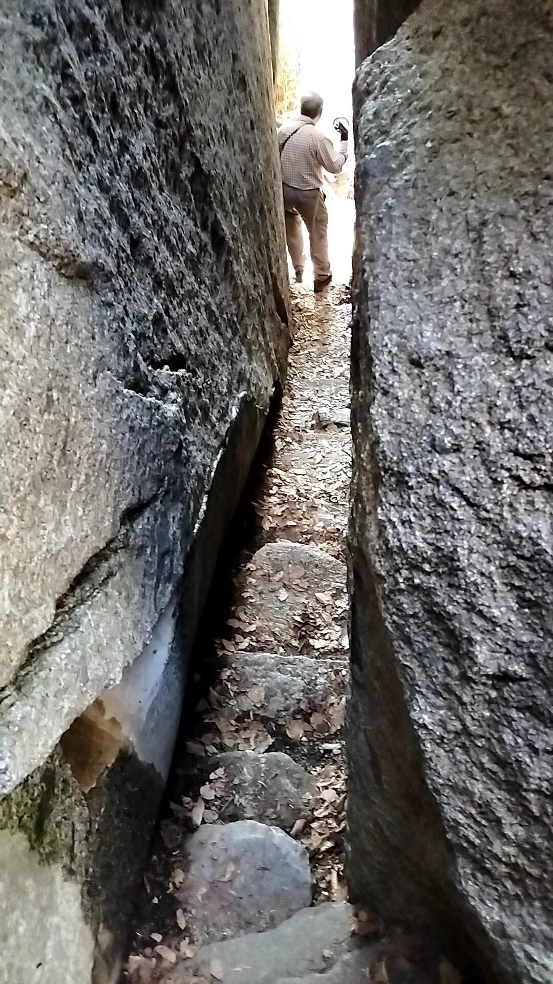 241201 山中湖 石割山・平尾山 / yocchiさんの御正体山・杓子山・石割山の活動データ | YAMAP / ヤマップ