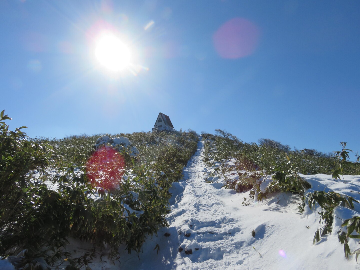 氷ノ山（須賀ノ山） / akgestさんの氷ノ山（須賀ノ山）・鉢伏山・瀞川山の活動データ | YAMAP / ヤマップ
