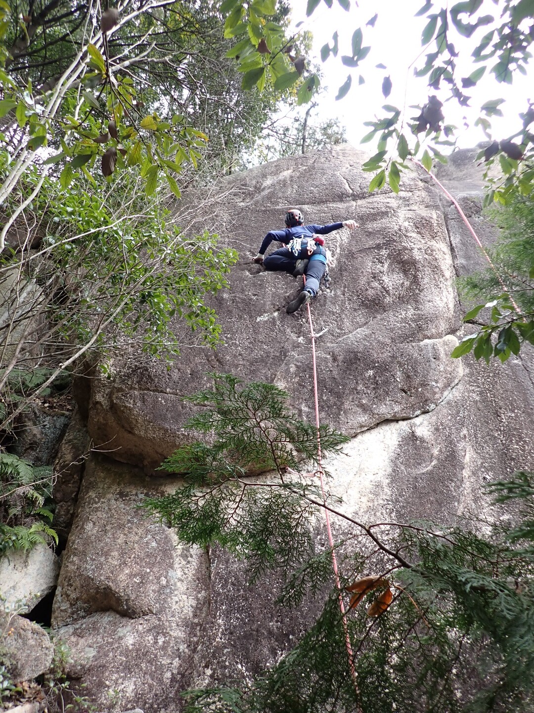 三倉岳 源助Ⅱ峰 寒い〜 / fujitacさんの三倉岳・瓦小屋山の活動データ | YAMAP / ヤマップ