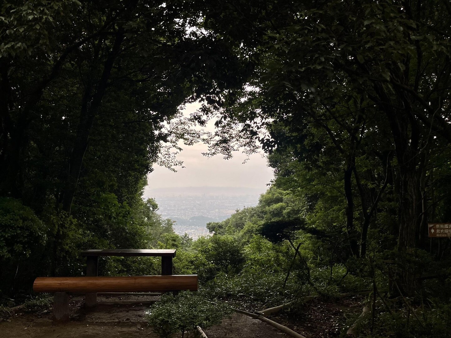 雨が落ちてきそうだけど阿武山経由で帰着 / ミカン de mikanさんの竜王山・阿武山の活動データ | YAMAP / ヤマップ