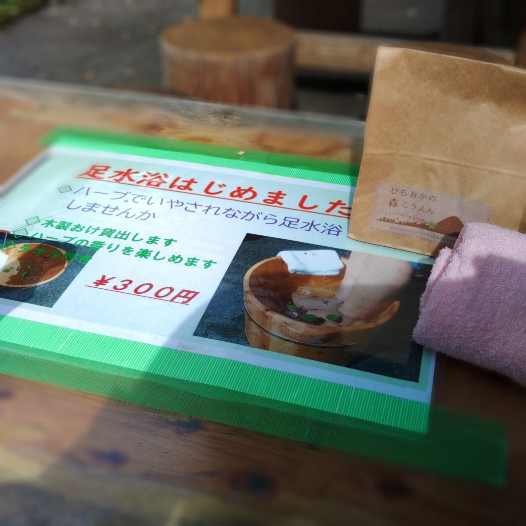 生駒山。 枚岡公園事務所横のベンチで冷足... / りこりえこリハビリ中さんのモーメント | YAMAP / ヤマップ