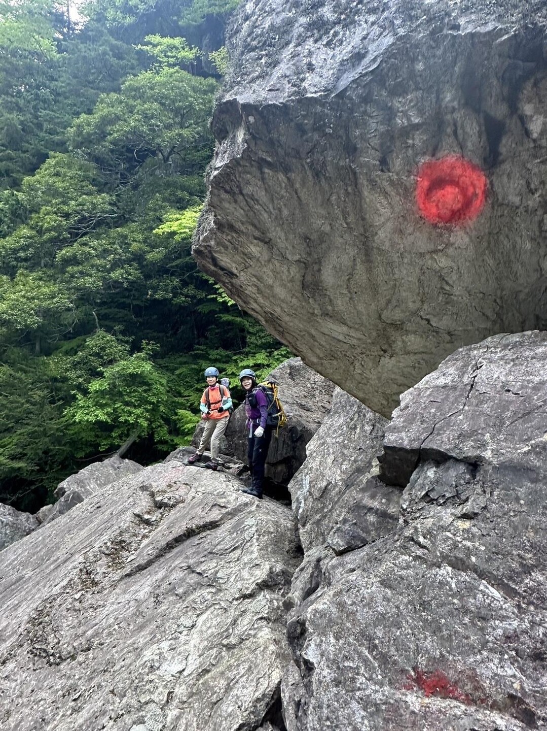 大台ヶ原山2日目・日出ヶ岳〜大蛇嵓へ / guchiさんの大台ヶ原山・日出ヶ岳・大杉谷の活動データ | YAMAP / ヤマップ
