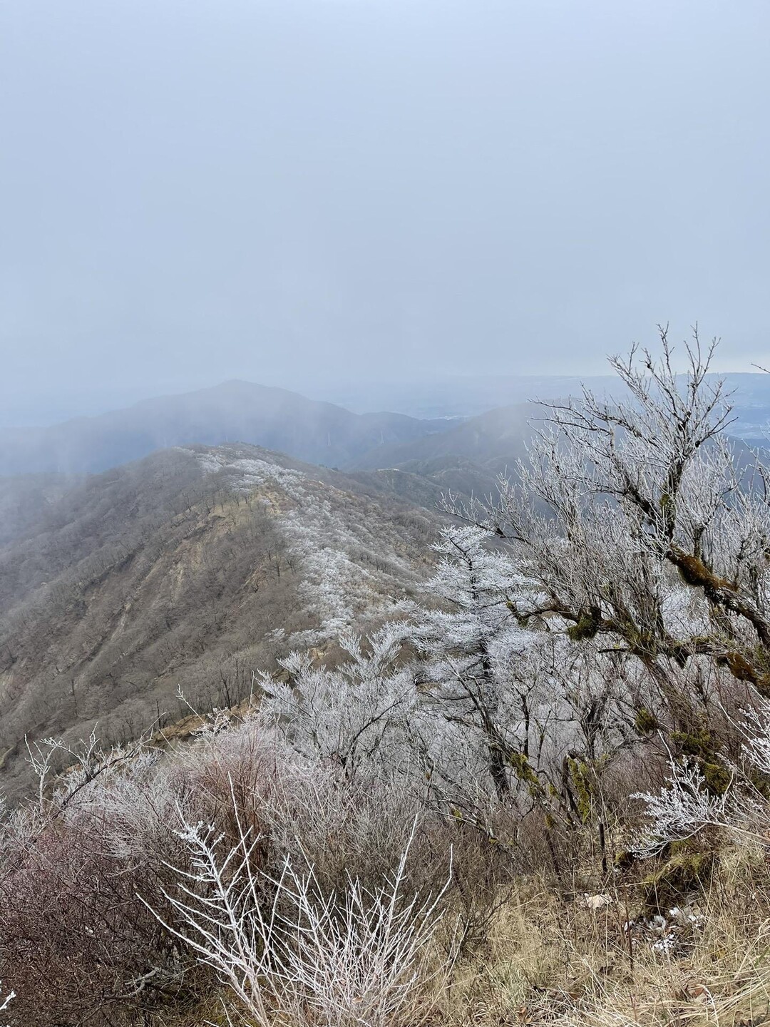 サクッと塔ノ岳 / くまさんの塔ノ岳・丹沢山・蛭ヶ岳の活動データ | YAMAP / ヤマップ